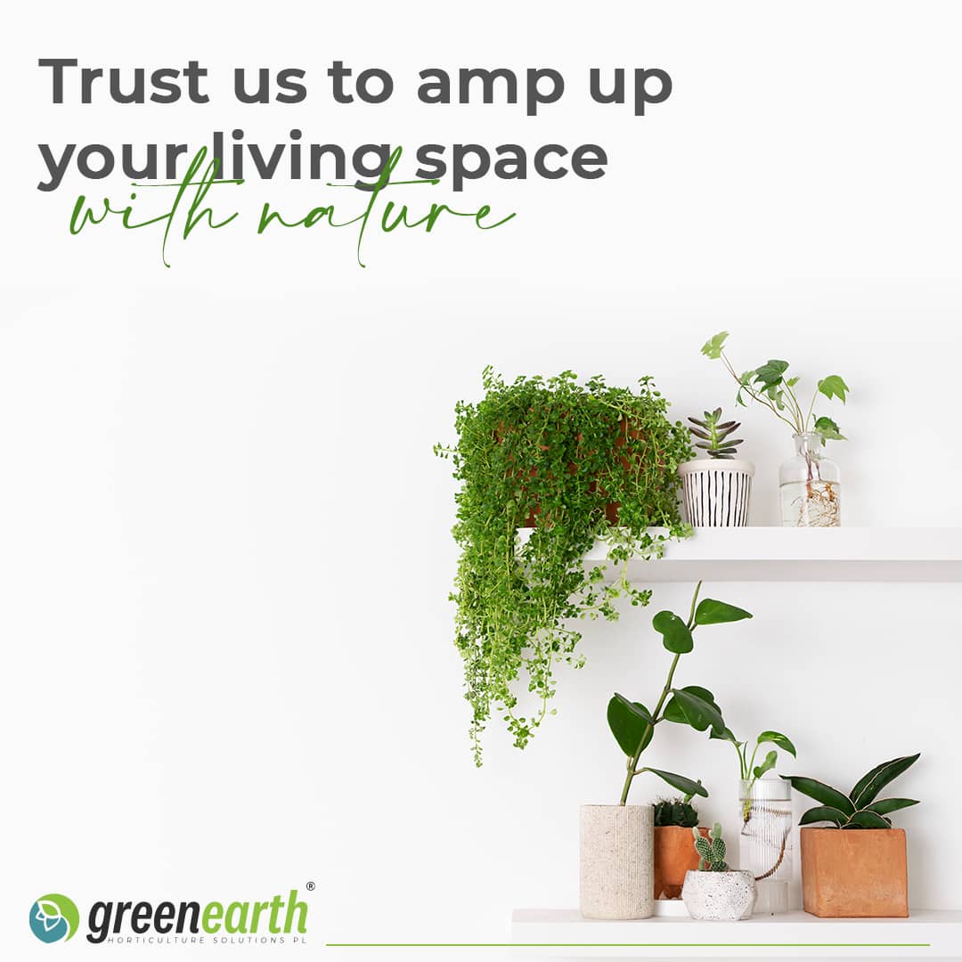 A Green Earth a-green-earth